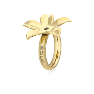QUDO | Official Online Shop